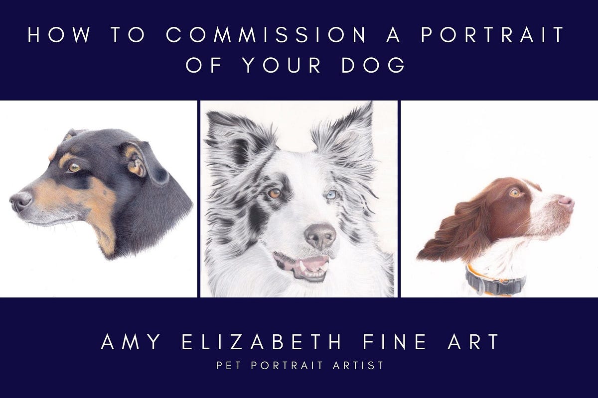 How to Commission a Portrait of Your Dog | by Amy Elizabeth Fine Art ...