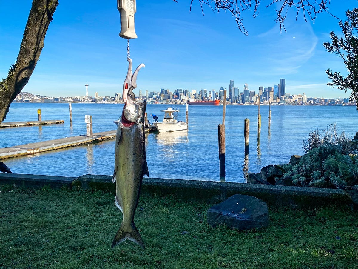 Now in its 85th year, Tengu Blackmouth Derby celebrates Seattle and ...