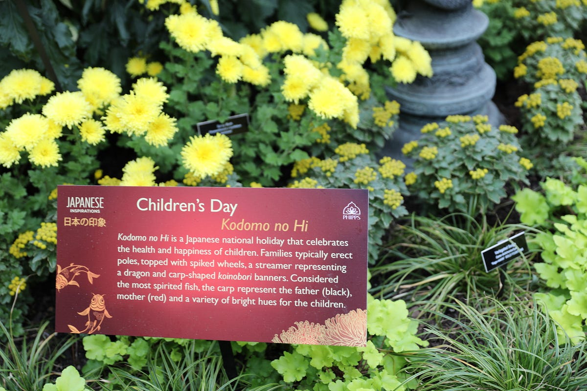 Phipps Touring Experience. designing AR-aided touring experience… | by CeCe Liu | Medium