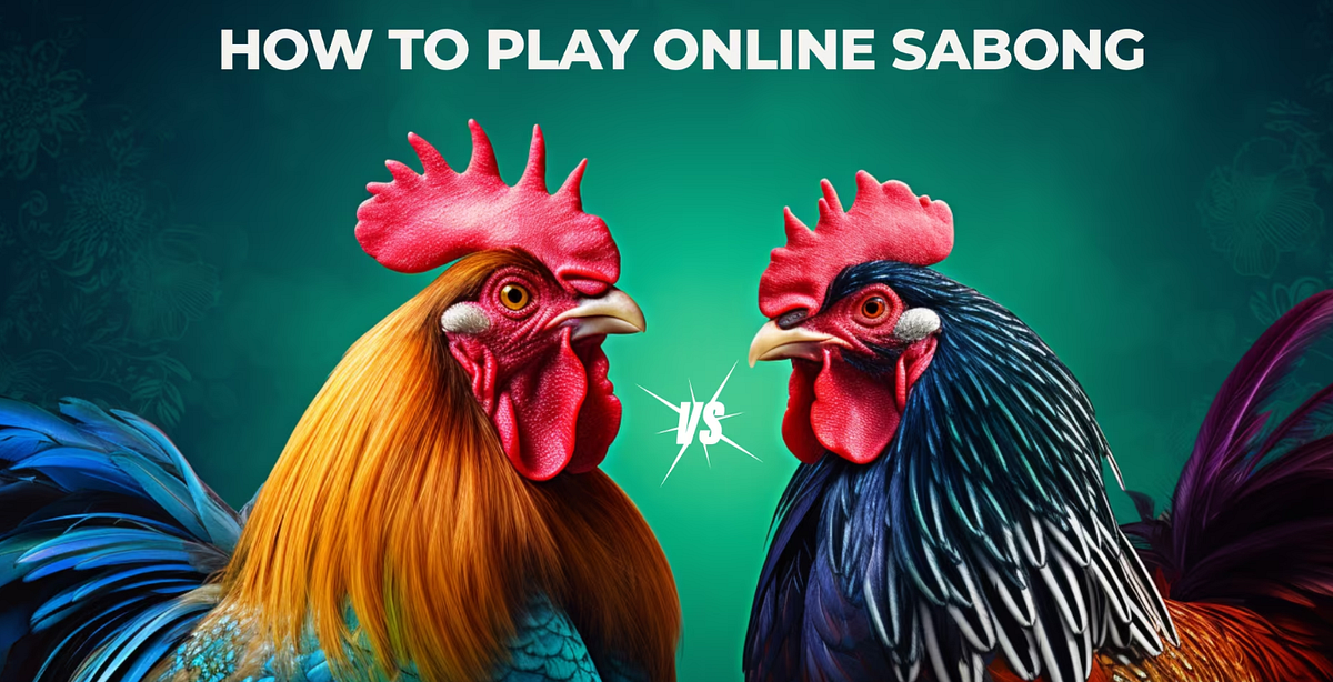 How The Online Sabong System Works: A Comprehensive Guide with 747Live ...