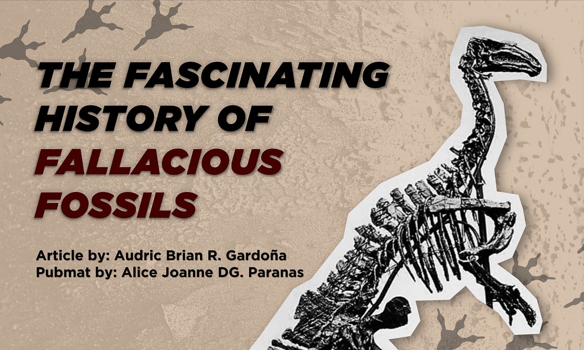 The Fascinating History of Fallacious Fossils | by UP Geological ...