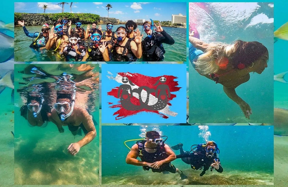 Farewell Adventure Mermaid: Lessons From the Collapse of a Feminist ...