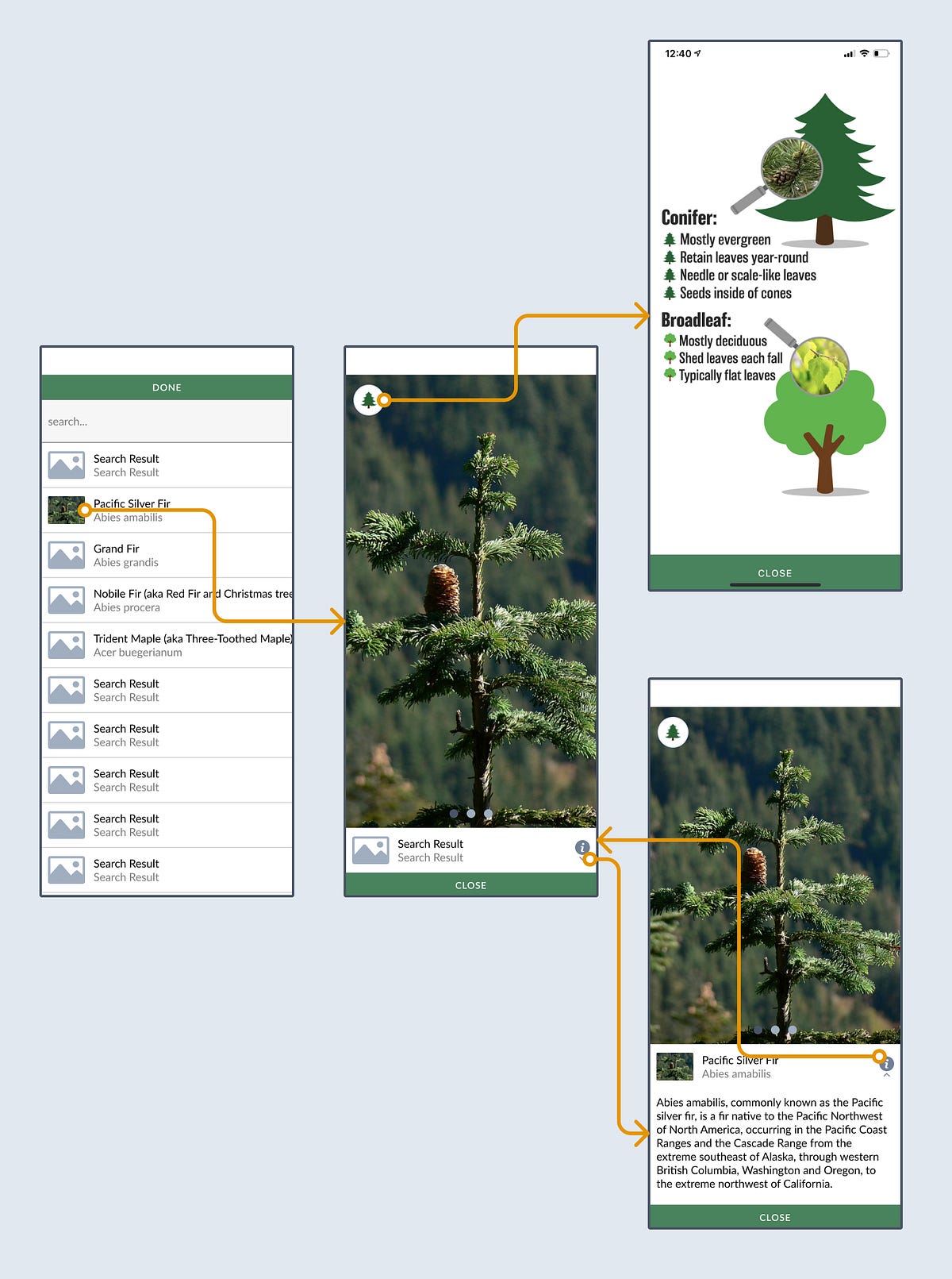 Case study: UI design to enhance an existing tree species search ...
