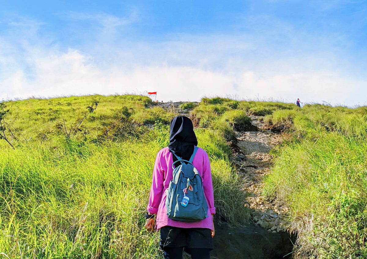 Bayang-bayang Pawitra Edha. Penanggungan, 2022 | by selasaselada | Medium