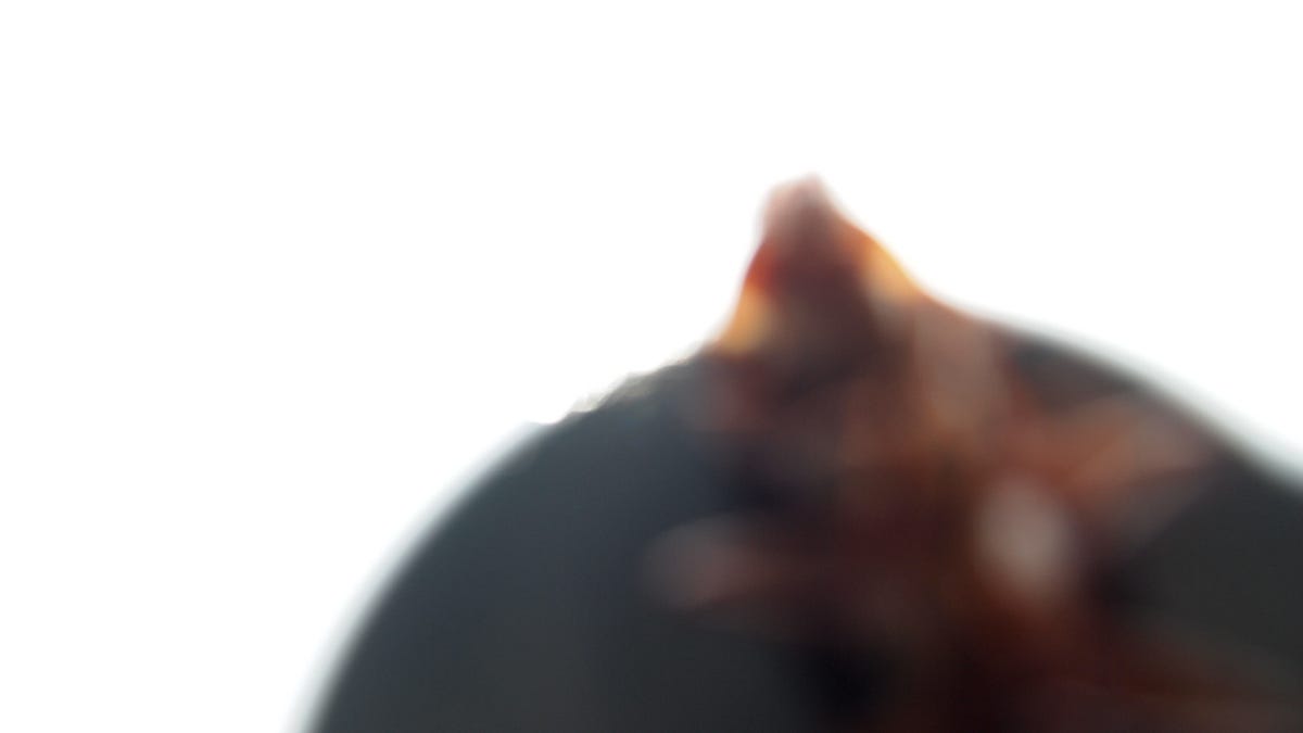 Jiminiy the Cockroach | by ☽ | Medium