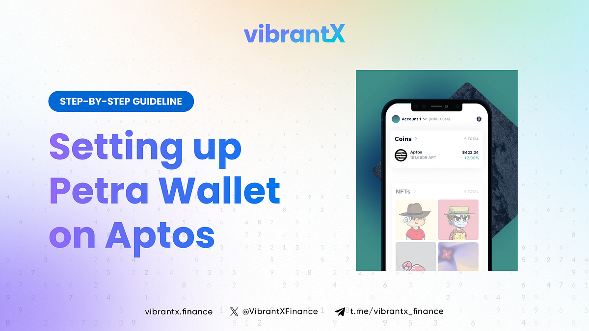 VibrantX Guideline | Setting up Petra Wallet on Aptos | by VibrantX Finance | Medium