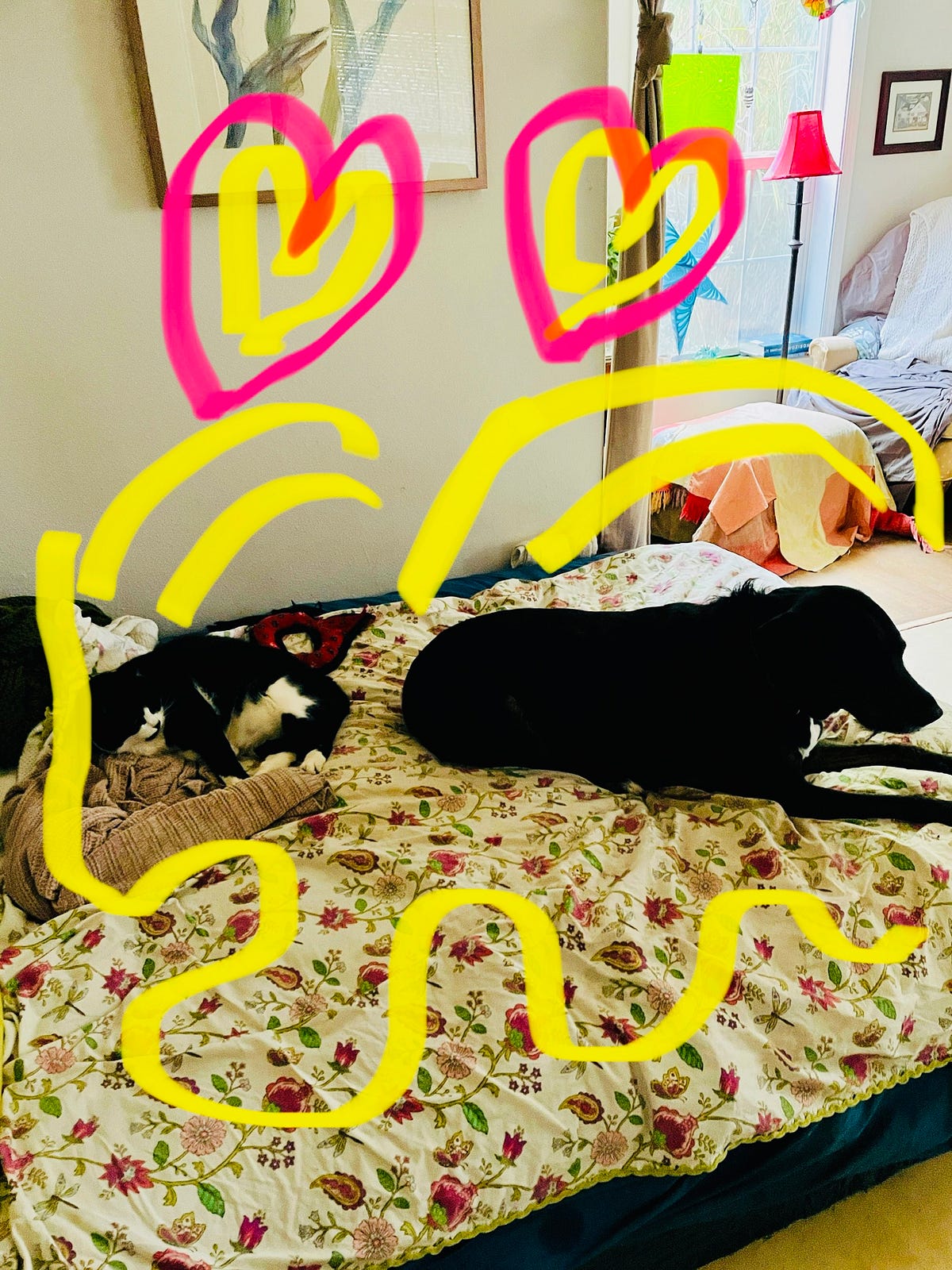 A Lesson In “Not Just Getting Along” With Each Other From Our “Fur ...