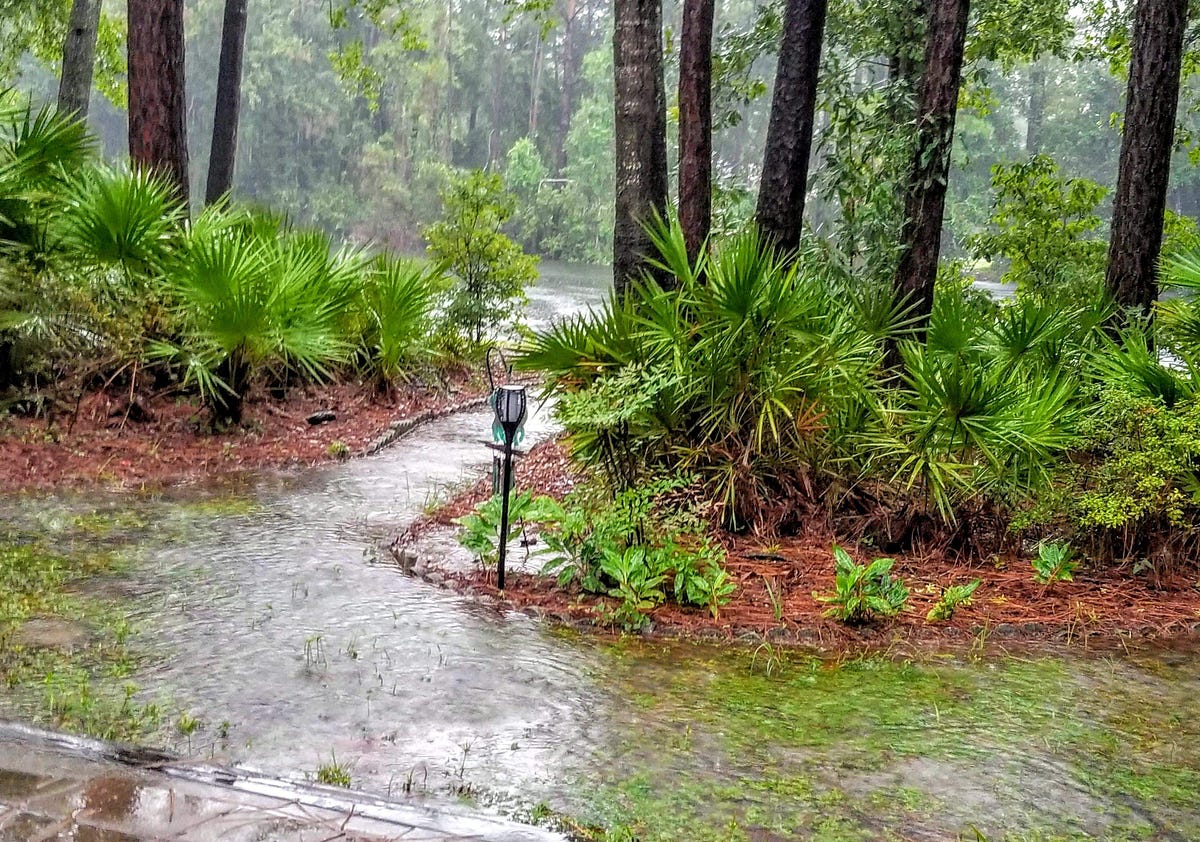 Hurricane Season. A rain tanka | by Dennett | House of Haiku | Medium