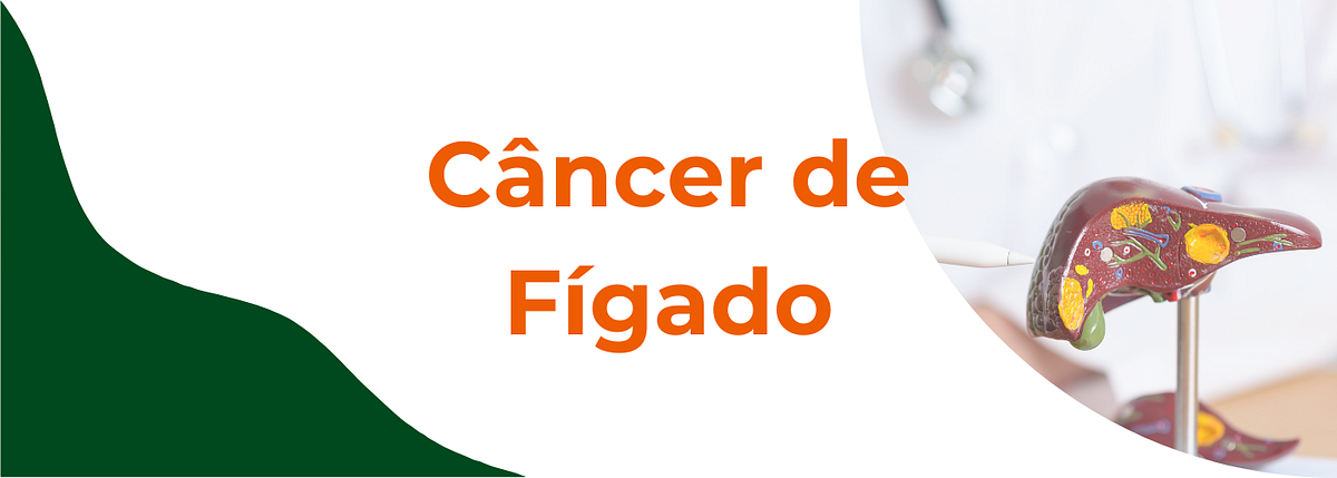 Câncer de Fígado: Sintomas, Diagnóstico e Opções de Tratamento | by ...