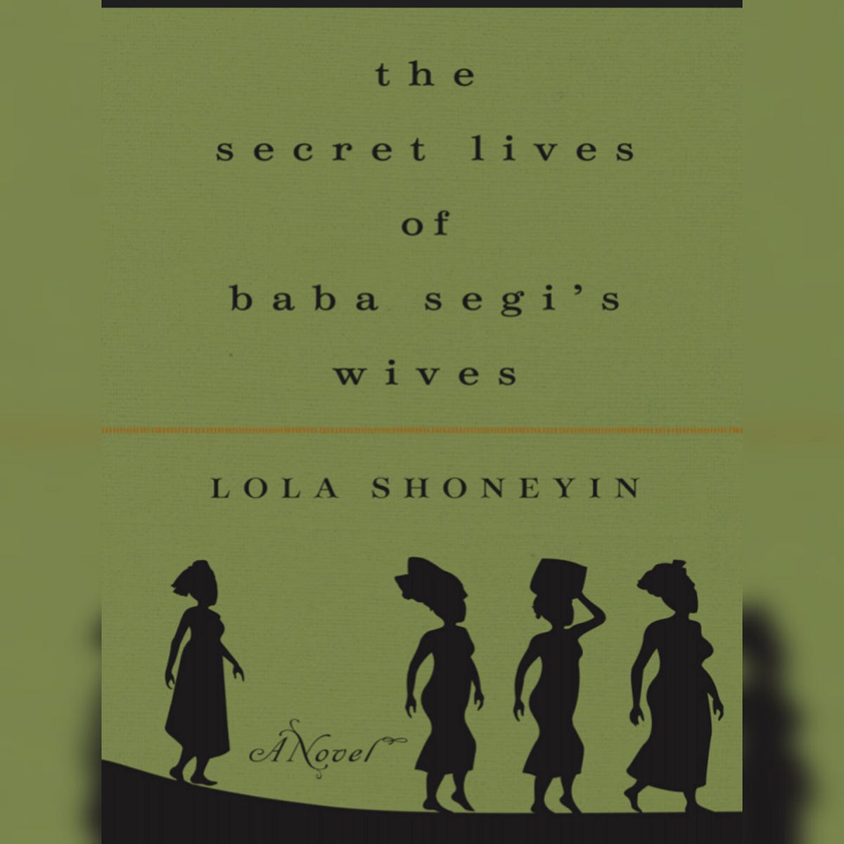 The Secret Lives of Baba Segi's Wives by Lola Shoneyin was a wonderful ...