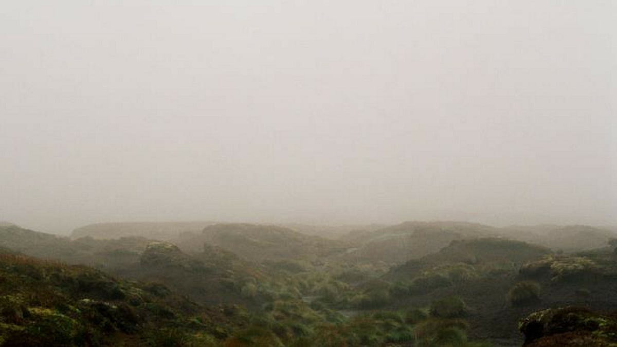 Please Stop Using This Emily Brontë Quote as if it is Romantic (It’s Not) | by Ashlee R ...