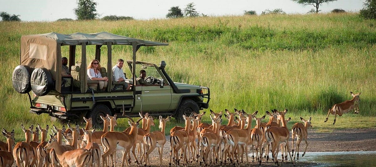 Luxury Tanzania Safari Packages and Safari Packages Tanzania Adventa ...
