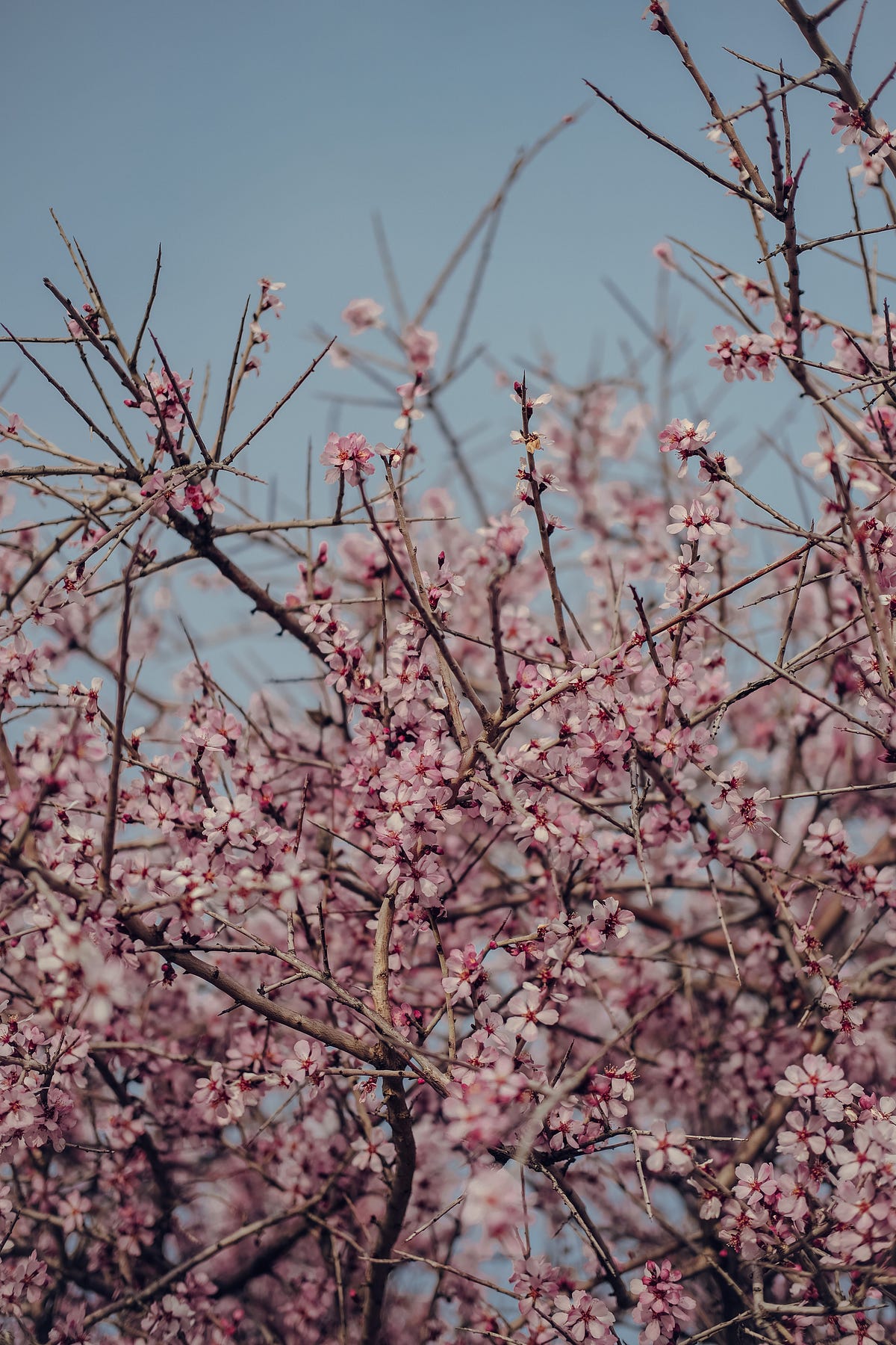 Tweaking with Nesterov Momentum part1(Machine Learning optimization) | by Monodeep Mukherjee ...