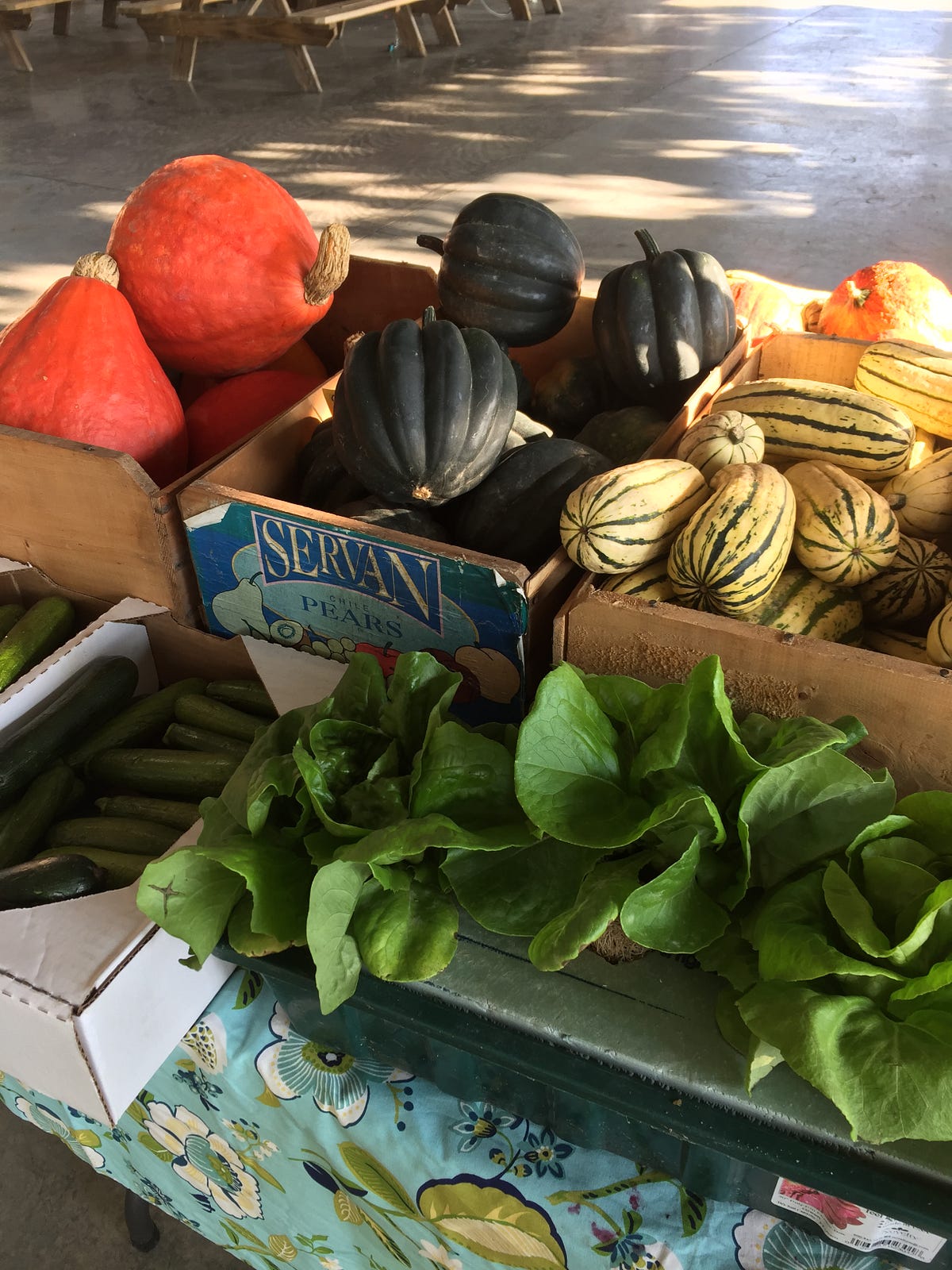 Poughkeepsie Waterfront Market Combats the City’s Food Desert Status ...