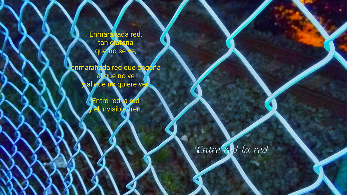 Entre red la red. Es difícil de ver entre paquetes que… | by Lisardo ...