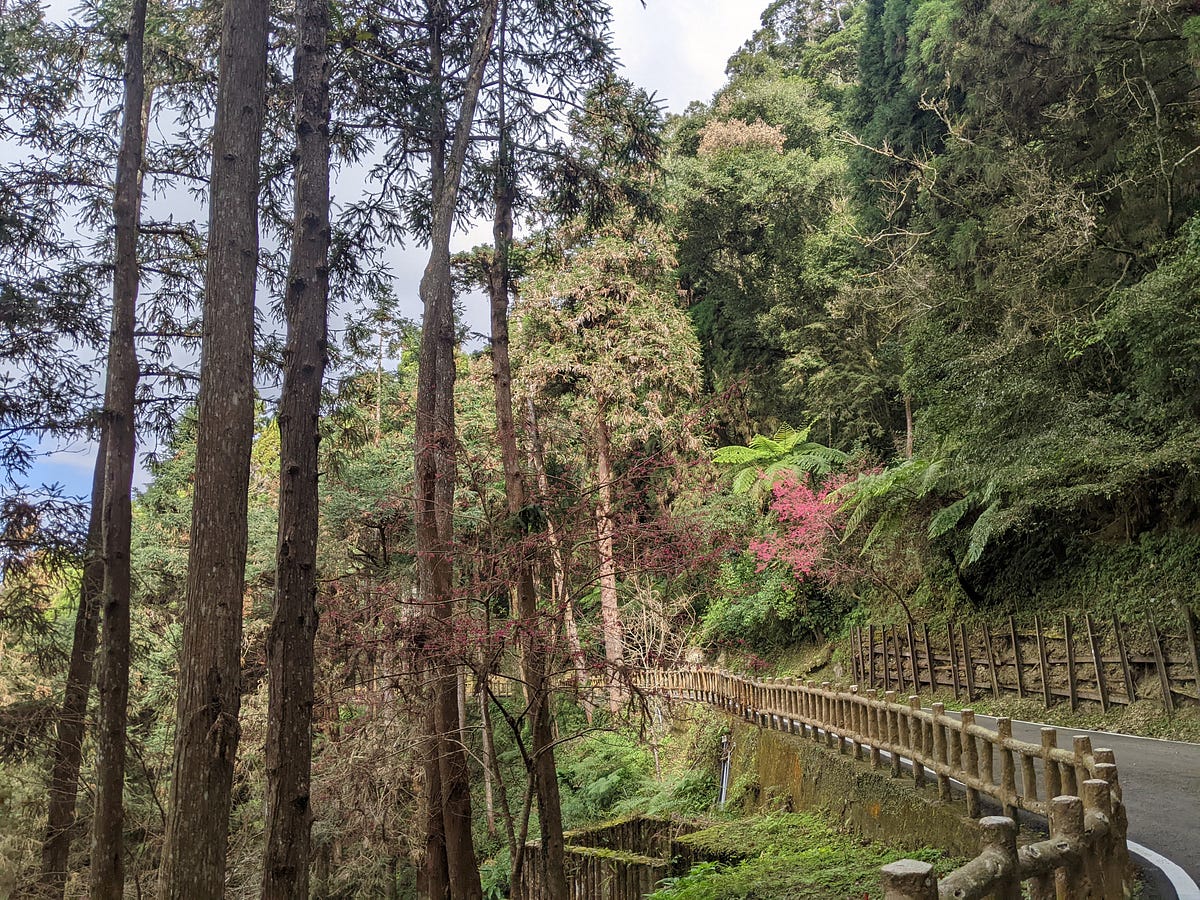 Tengjhih Forest Recreation Area. Re-opening and how foreigner gets here ...