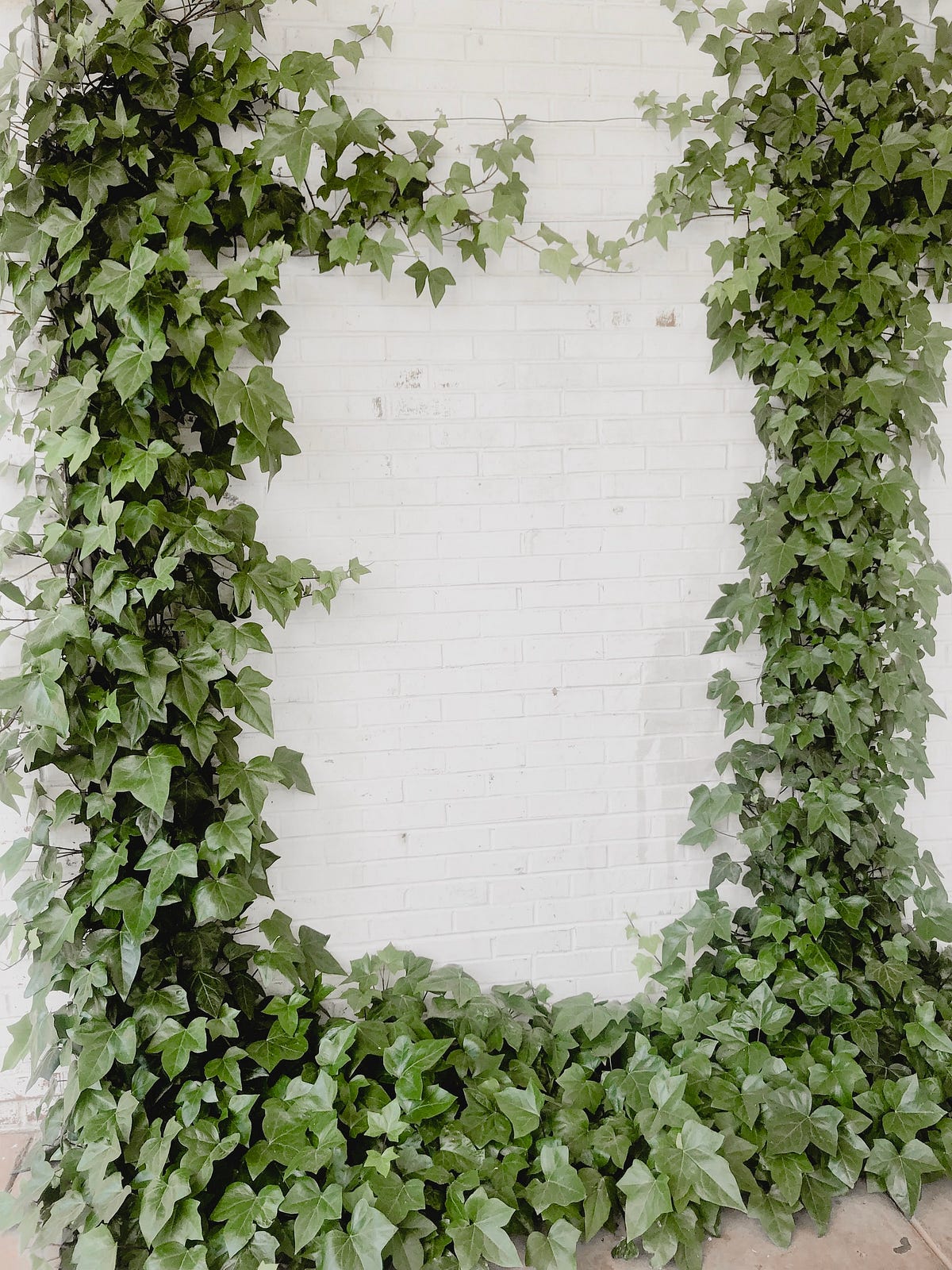 Ivy. Sky Collection quote prompt №28 | by Anna Rozwadowska | Sky ...