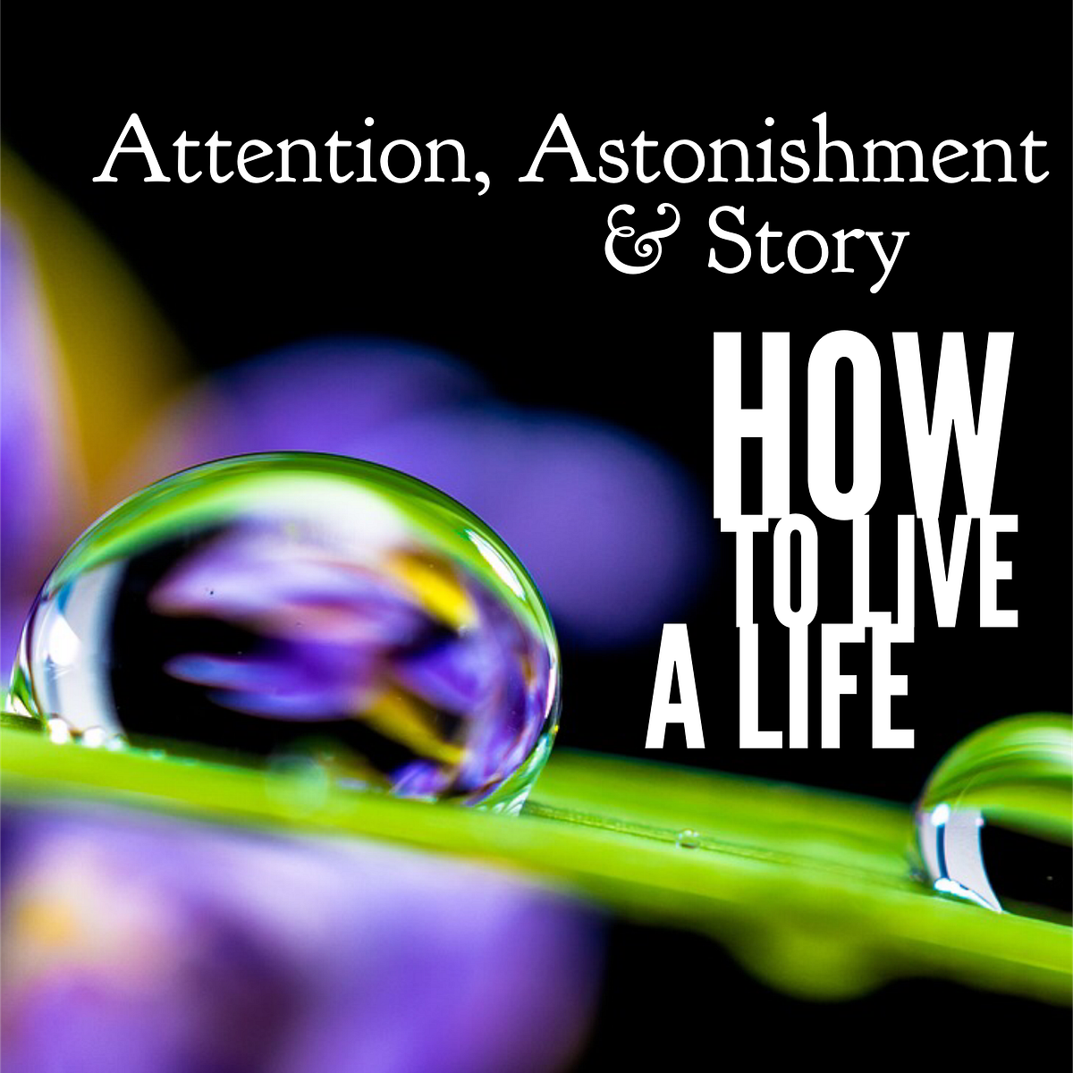 Attention, Astonishment & Story. How to Live A Life | by Tracy Willis ...