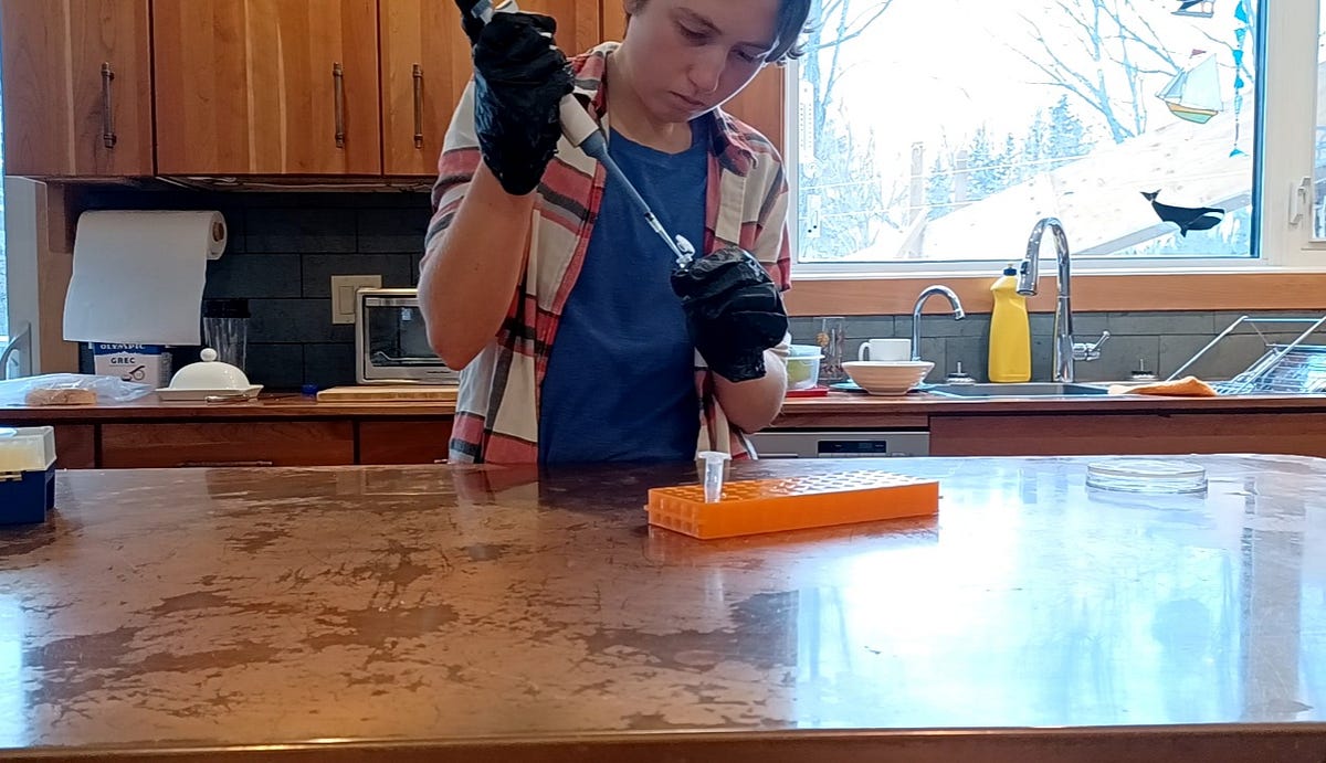 How I Genetically Modified E.Coli Bacteria Using CRISPR | by Rachel Lee ...