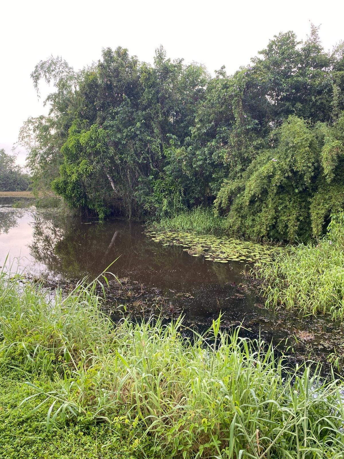 The Land of Chera. Kerala’s first appearance in epigraphic… | by ...