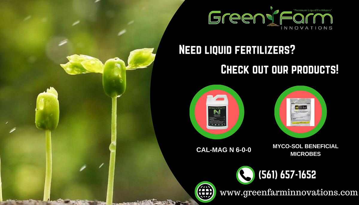 Philodendron Fertilizer For Plant Growth | by Green Farm innovations ...