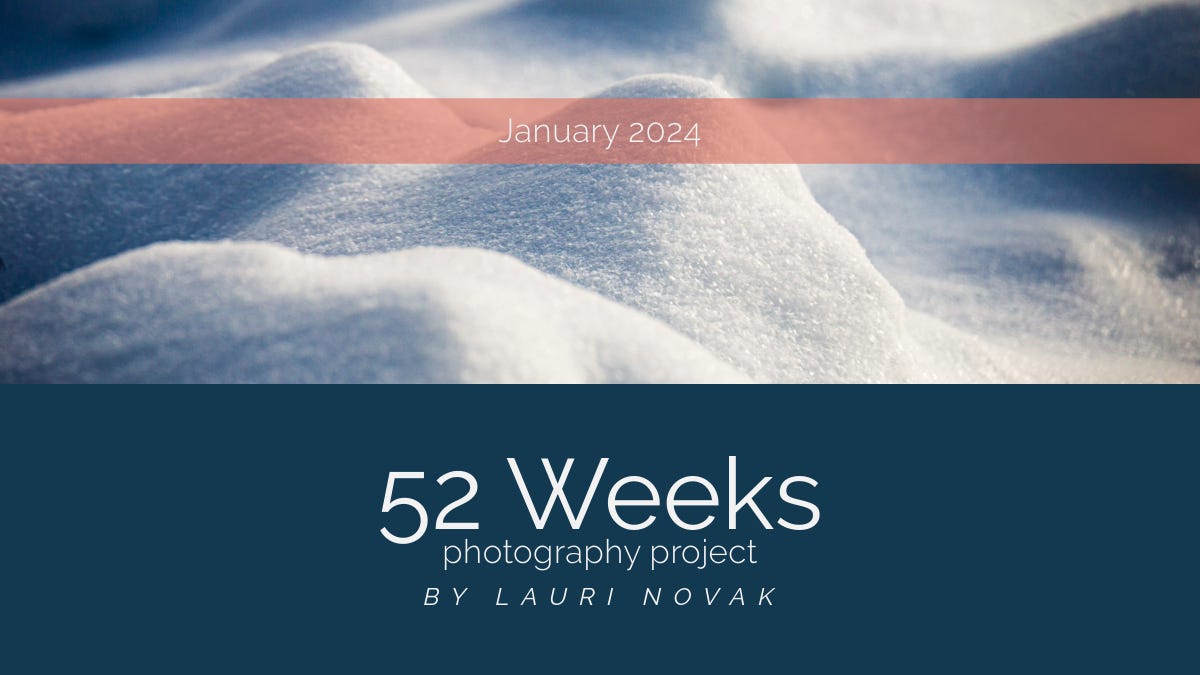 52 Weeks Photography Project. December 2023 | by Lauri Novak | Full ...