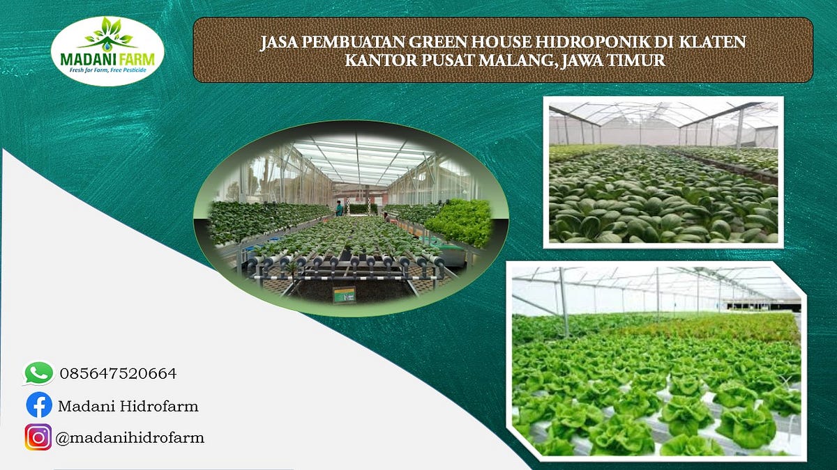 Jasa Pemasangan Plastik UV Di Klaten - Jasa Pembuatan Green House - Medium Jasa Pemasangan Plastik UV Di Klaten - Jasa Pembuatan Green House - Medium
