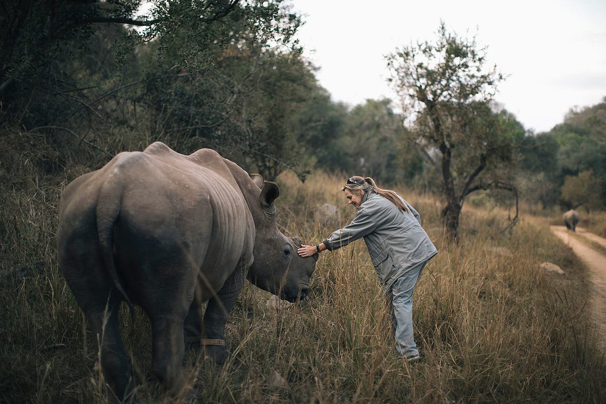 Meet the ‘Mother of Rhinos’. This real-life ‘Khaleesi’ risks her… | by ...