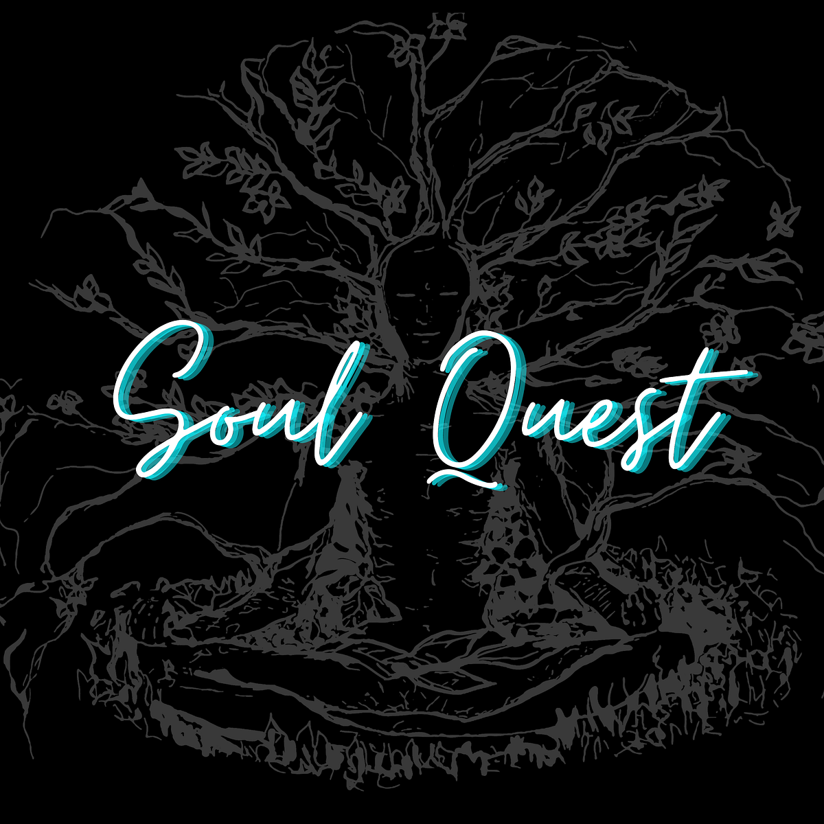 Why A Soul Quest Program Is So Important | by Infiniti 🦋 | The ...