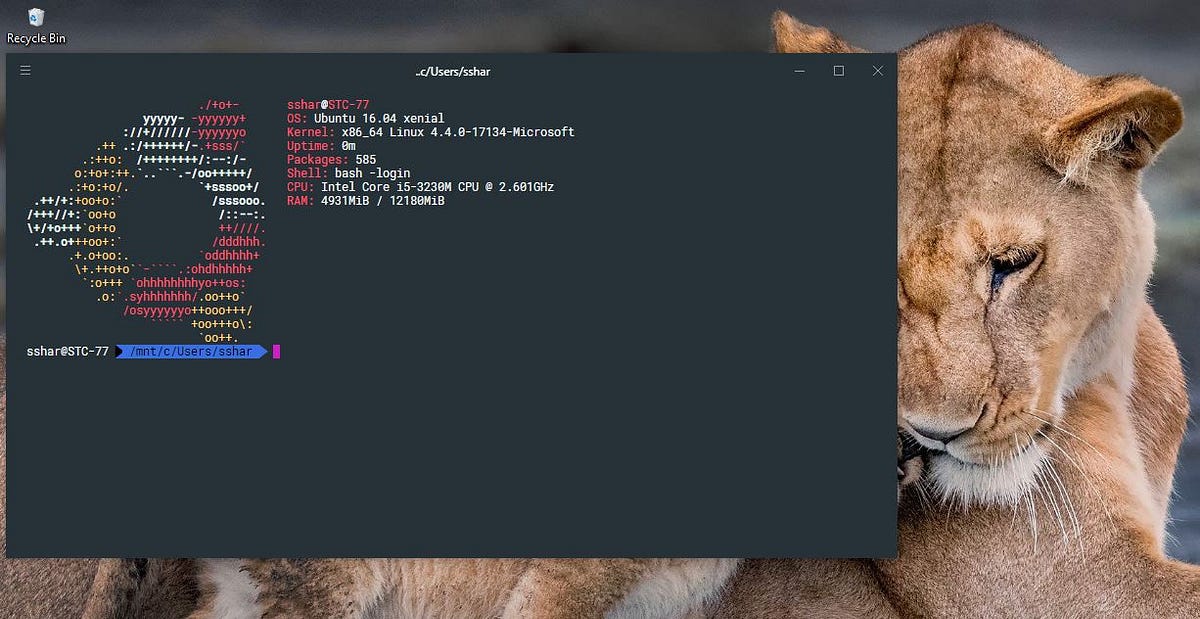 Hyperjs Oh My Zsh As Ubuntu On Windows Wsl Terminal By Syed Sharizal Medium