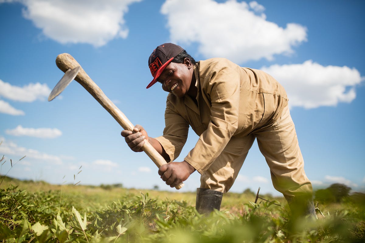A farmer’s words of wisdom for young girls: ‘Life without education is ...