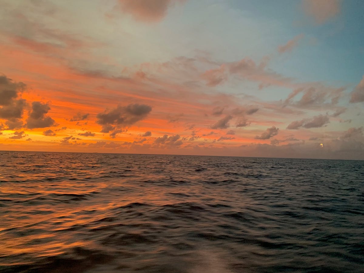 10 Tips to navigate multi-country travel in a pandemic | by Himangi | Medium