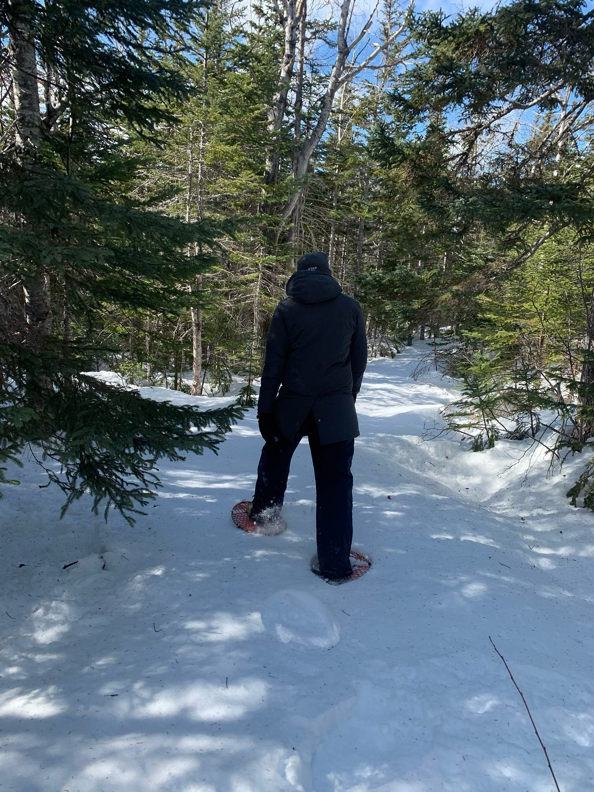 I Walked 10,000 Steps Daily for 30 Days: Here’s What Happened | by Sufyan Maan, M.Eng ...