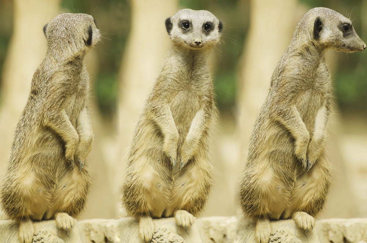 Sending Notifications In Clojure Web App — Part 2— Multi Agent Using
