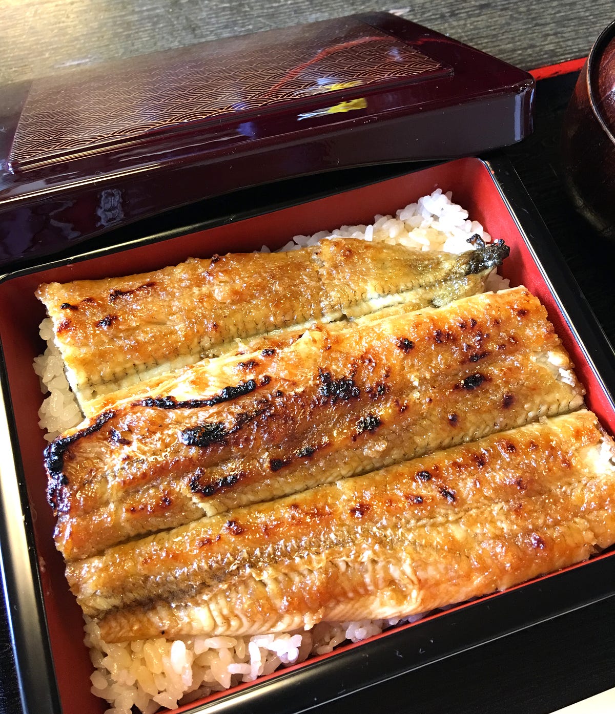 Una-jyu. Una-jyu is a portmanteau of Unagi… | by Ikechan | Ikechan’s ...