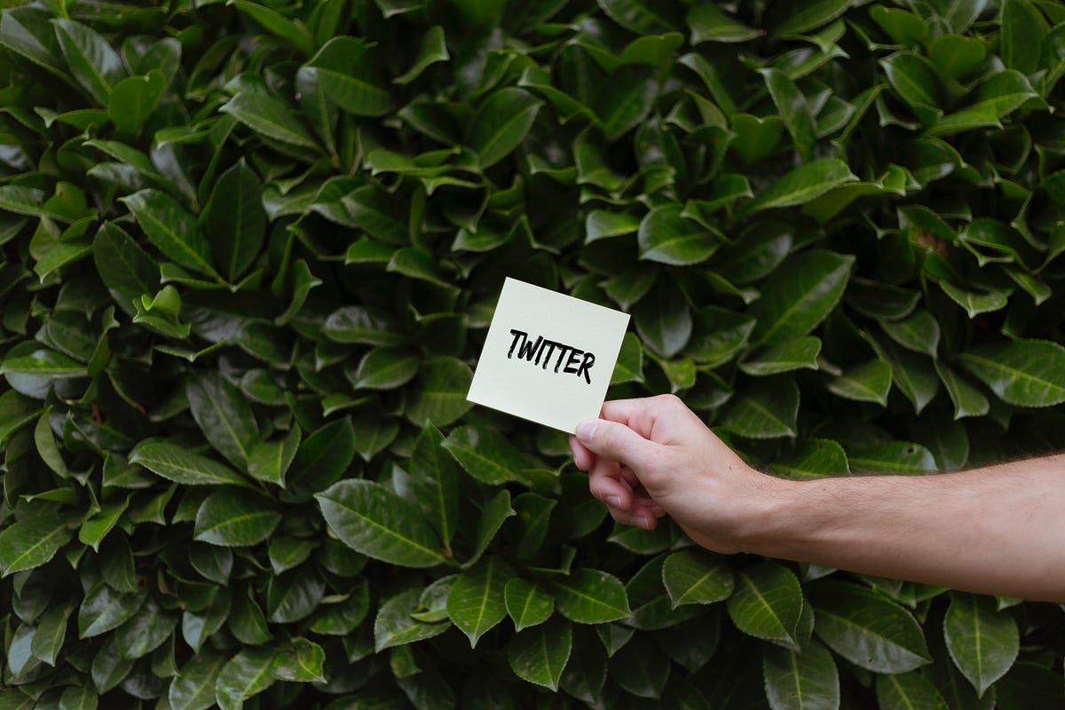 Whom to Follow on Twitter to Learn More about the Future and Entrepreneurship | by Ajay Kumar ...