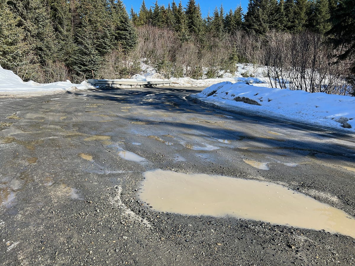 In Bumpy Praise of Potholes. Driving down the road, rodeo-style | by ...