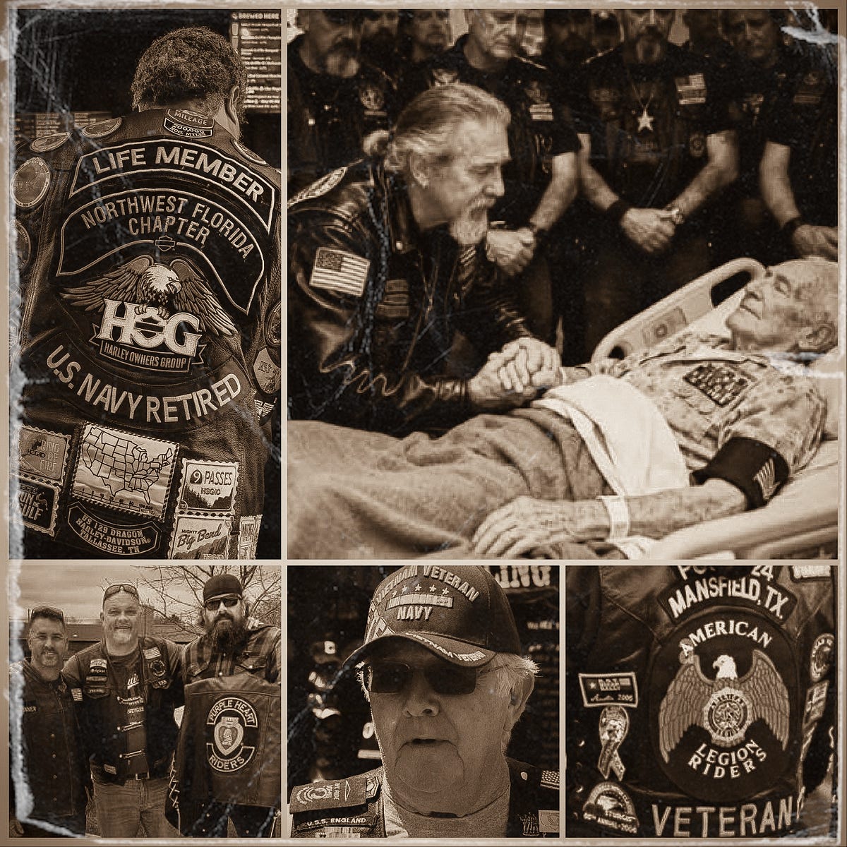 Honoring the Brave: A Salute to Every Veteran Who Fought for Our ...