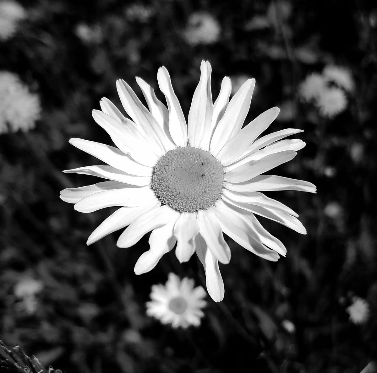 Internal. Emotions well up from where the shadows… | by Jeff Bailey ...