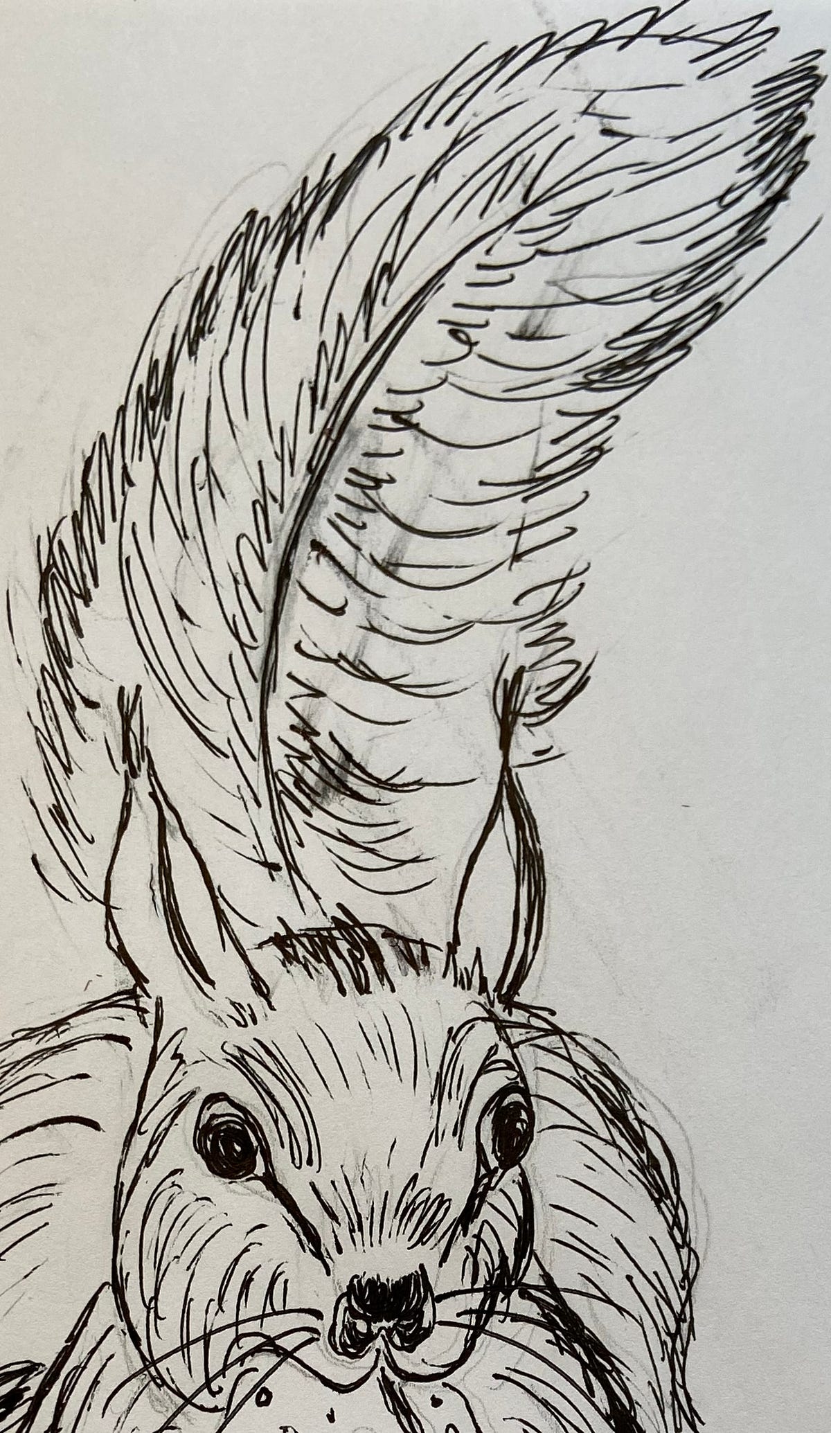 Fair and Squirrel. Law is derived from God, nature, and… | by JS O ...
