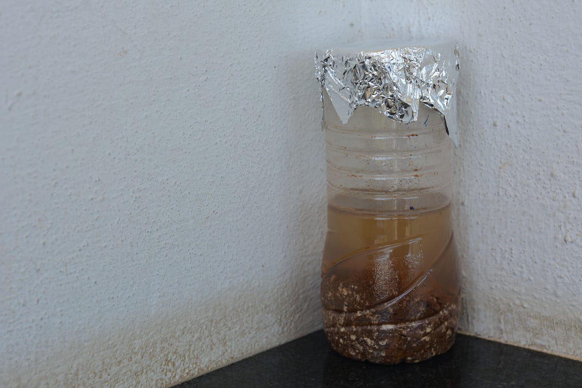 DIY Experiment 1- Winogradsky’s Column | by Ram | Medium
