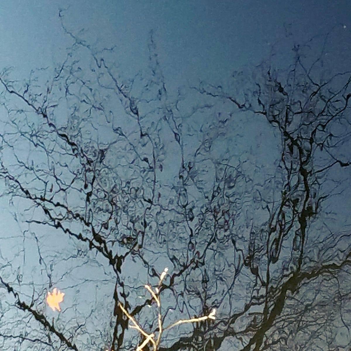 The Hollow-Day. When I think of the Hollow-day fast… | by Jeff Bailey ...