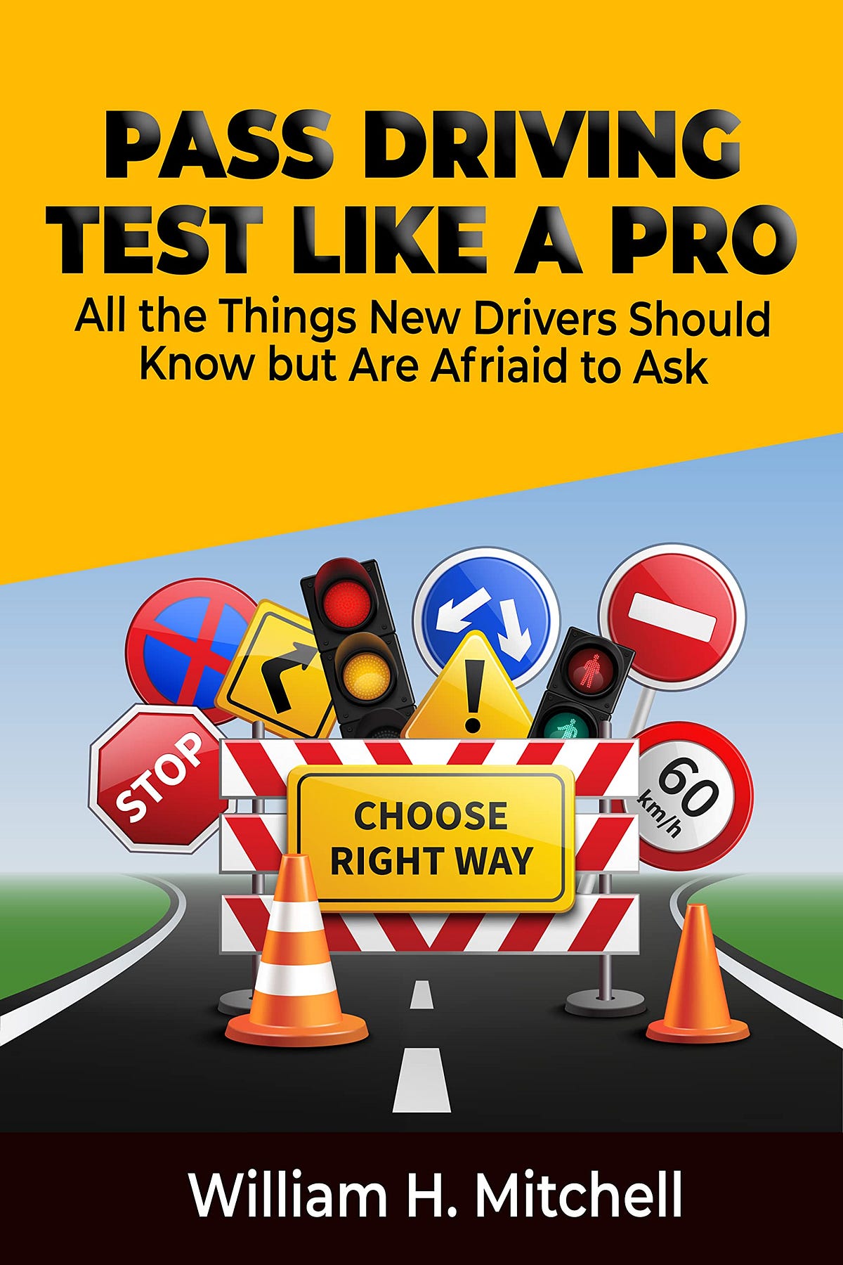 [DOWNLOAD][BEST]} Pass Driving Test Like a Pro: All the Things New ...