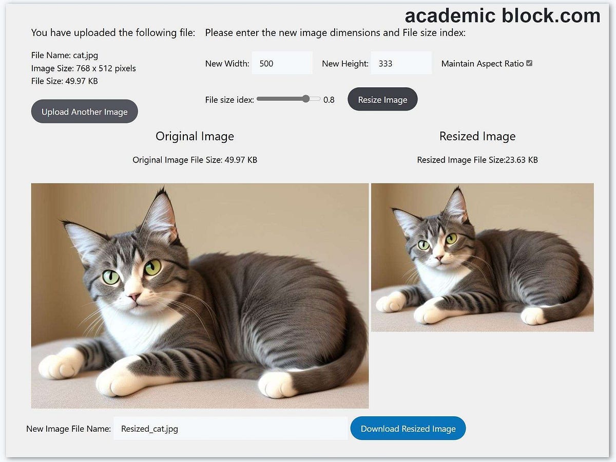How to Resize an Image. Resizing an image is a fundamental… | by Dr. Drek | May, 2024 | Medium