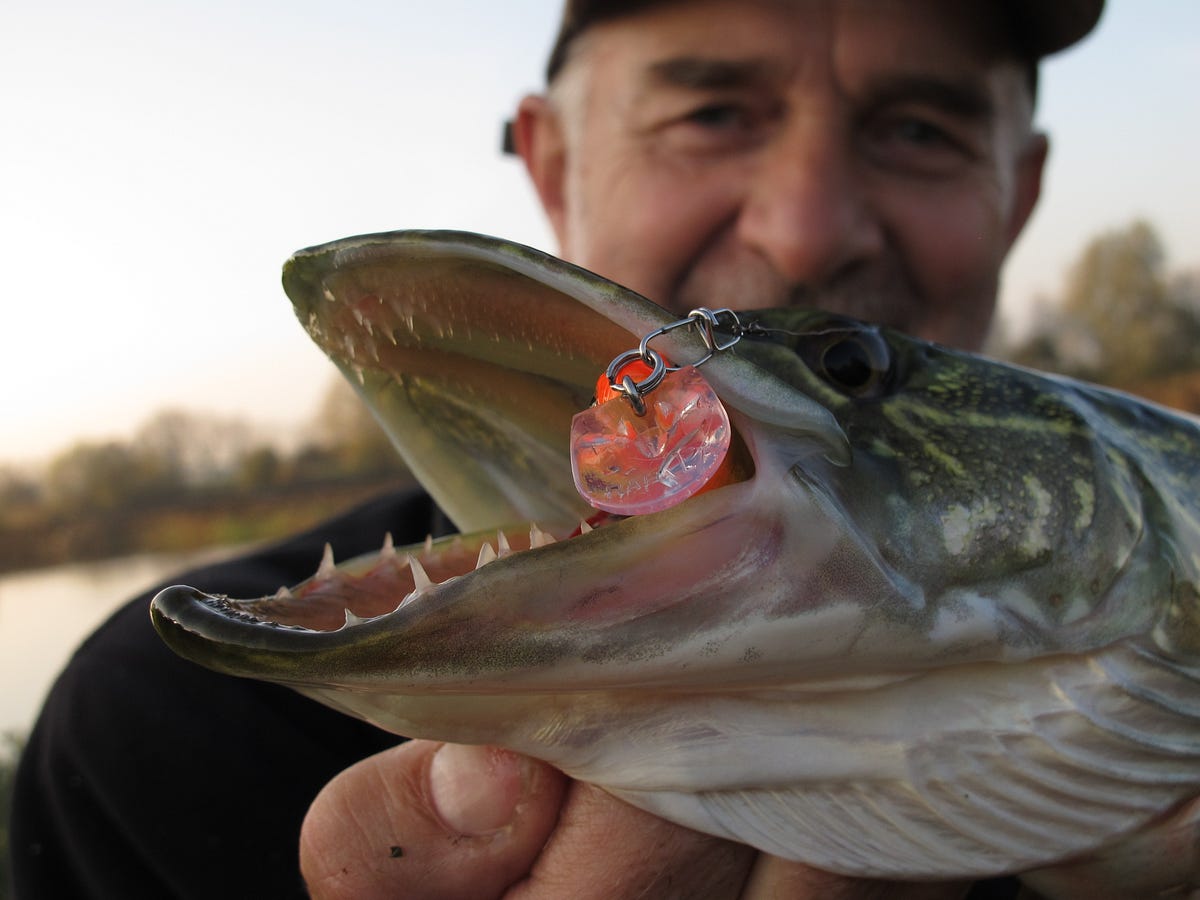 Fishing red bug pull bait production method | by Rosella C. Puckett ...