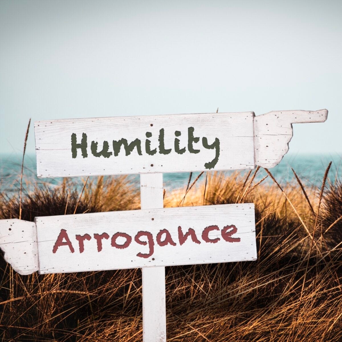 Don’t Be Arrogant. “To fear the LORD is to hate evil; I… | by Peter ...