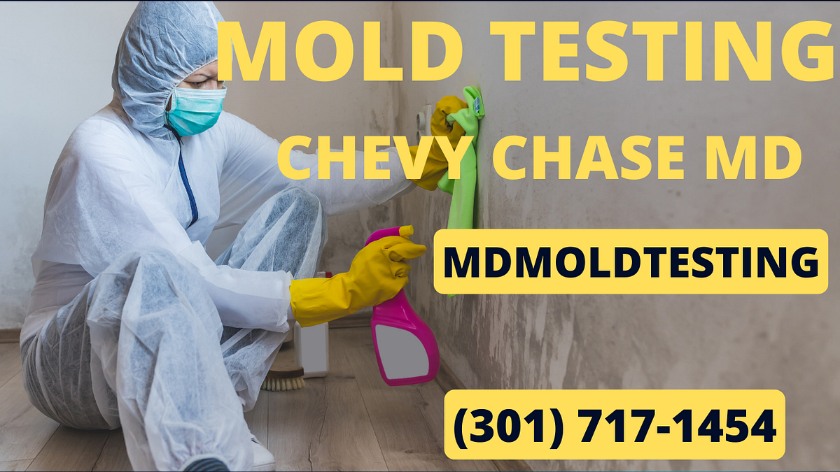 How to Get Rid of Black Mold in 5 Minutes: A Comprehensive Guide for ...