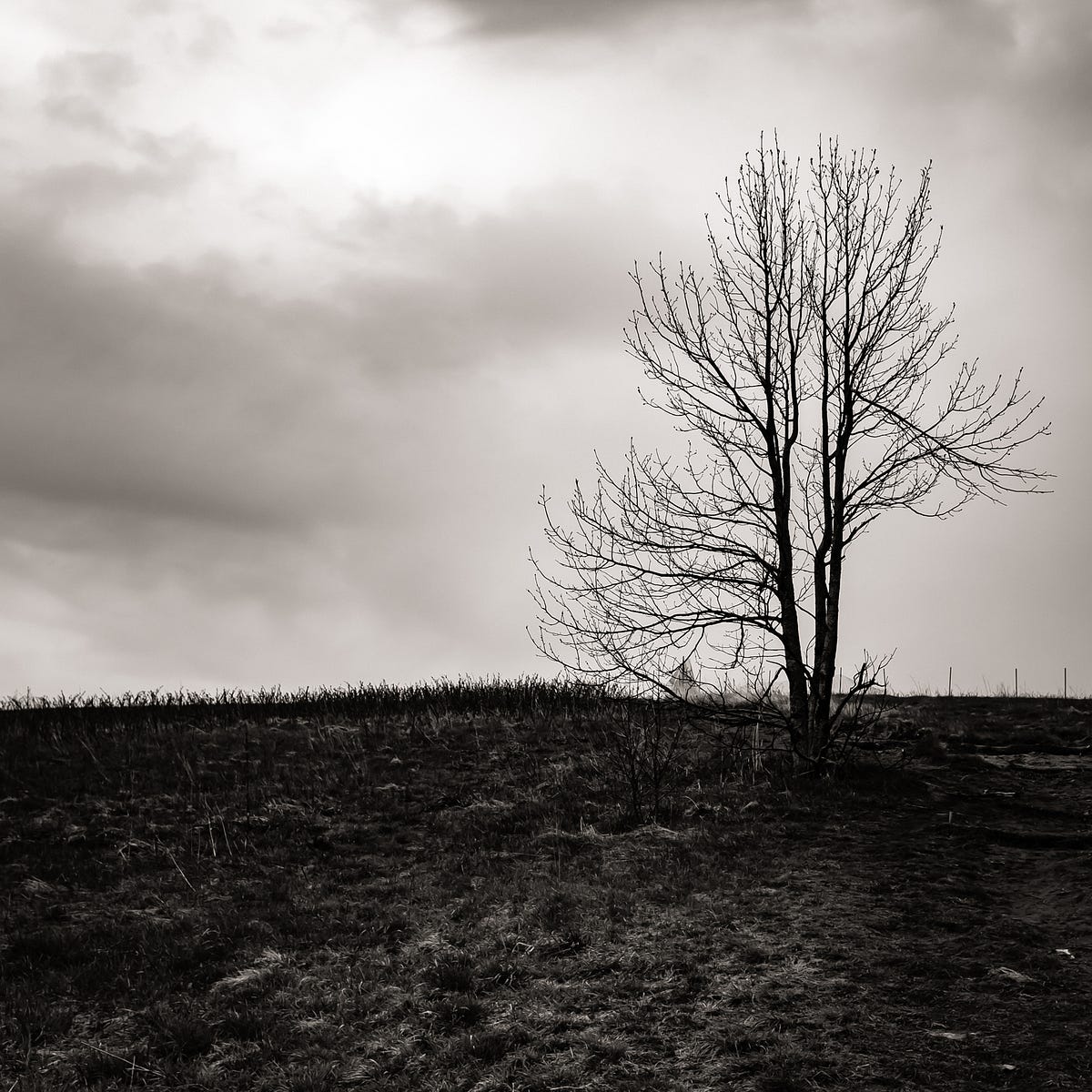 Top Ten (#4). Here is # 4. | by Tim Bindner | Medium