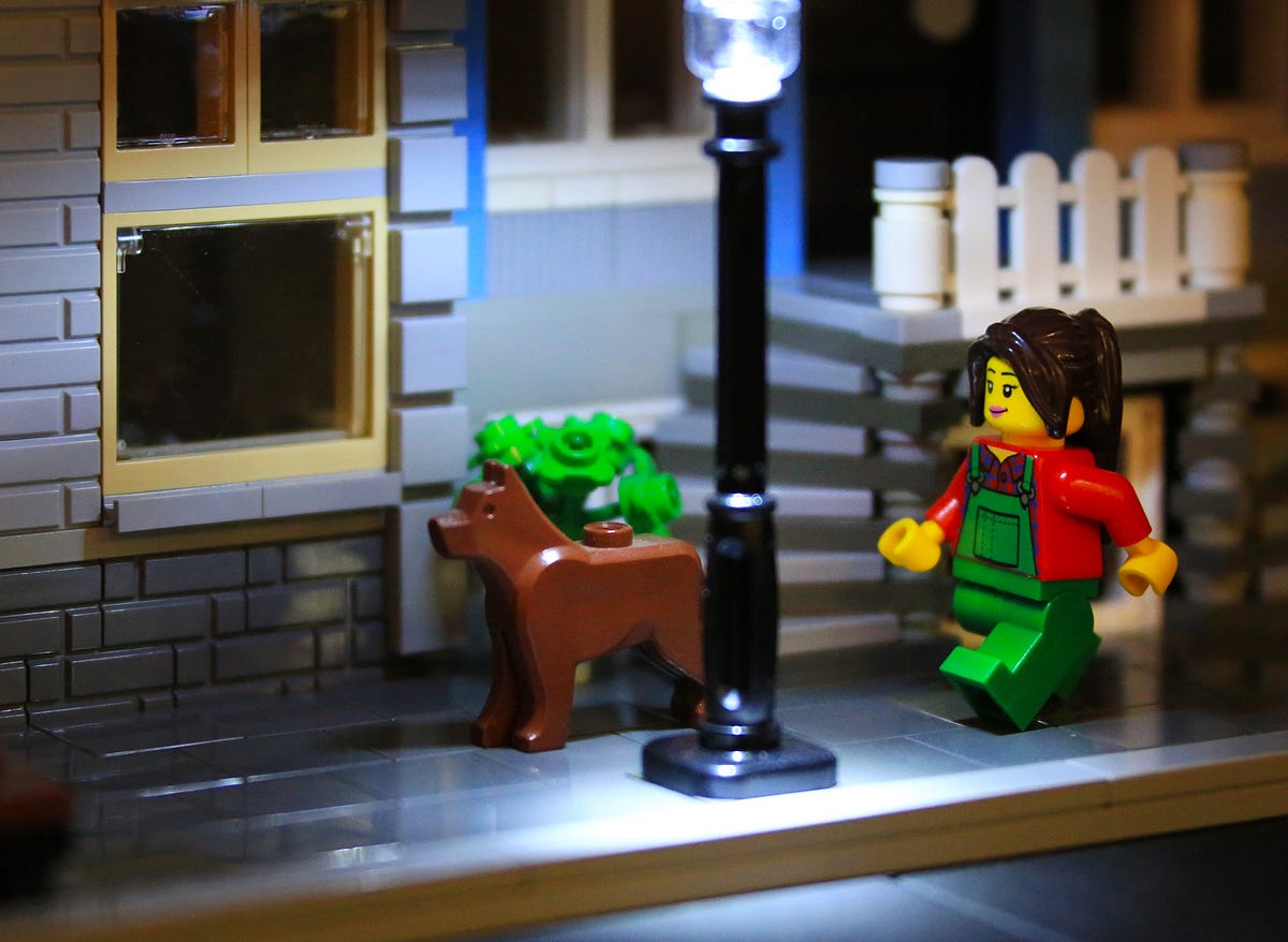 Walking the Dog at Night. November Six Word Photo Story… | by Iban Van ...