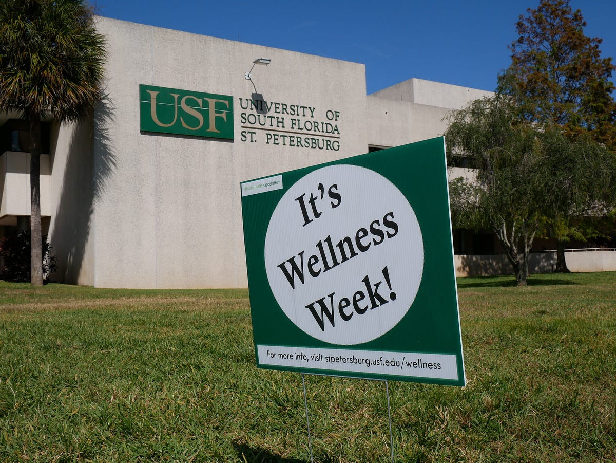 Article 2: Hutchings. USF Wellness Week Encourages Students… | by ...